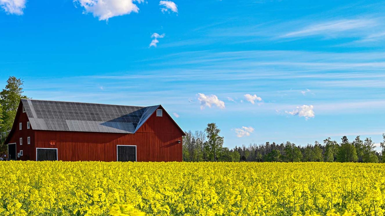 Hitachi ABB Power Grids contributes to Sweden's sustainable energy ...